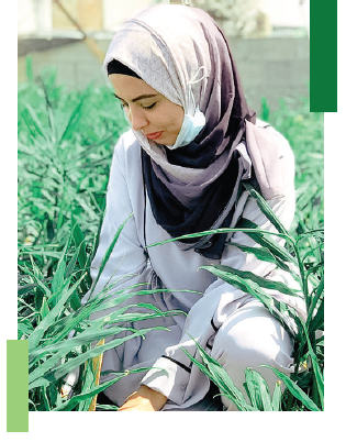 Agricultural Development Association - PARC | “Flora” project to ...